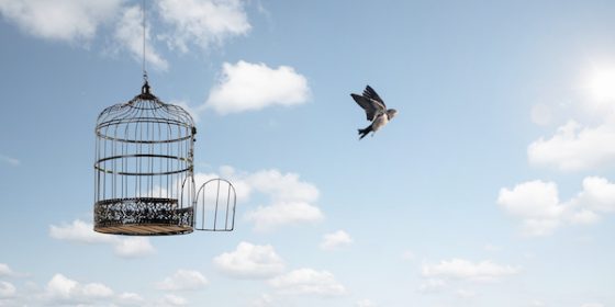 Freedom Cycle: Understanding Tytler's Perspective