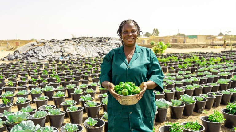 Solutions - Activist Post