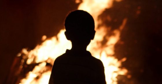 Activism - Activist Post