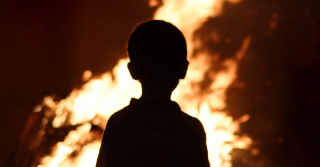 Activism - Activist Post