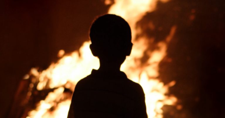 Activism - Activist Post